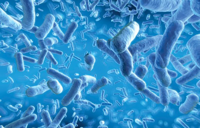 Multiple Drug Resistant Organism (MDRO)